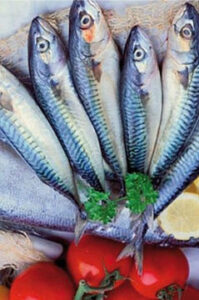 Toda la información sobre el 【 pescado azul y el pescado blanco