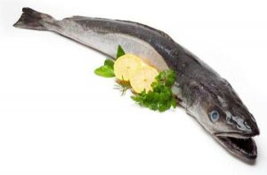 Pez Merluza 】>> características, propiedades y nutrientes
